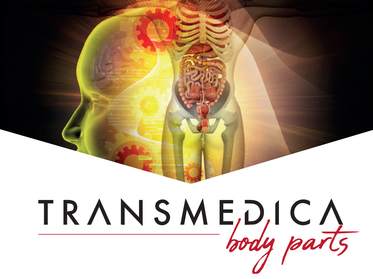 Body Parts – TransMedica